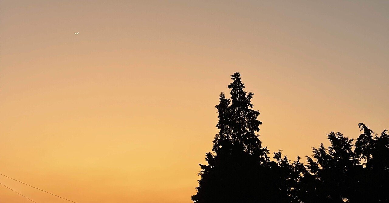 新しい日常、スタート ｜wakaba