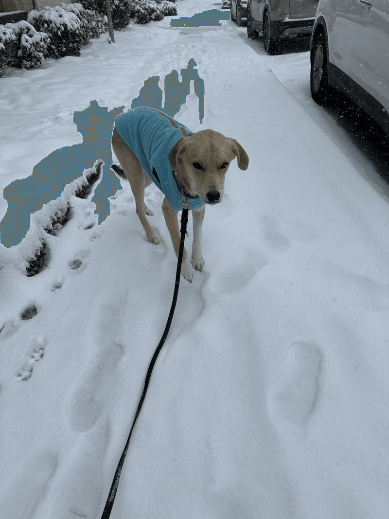 Python学習：Day 25(完）｜SandBoxPianist