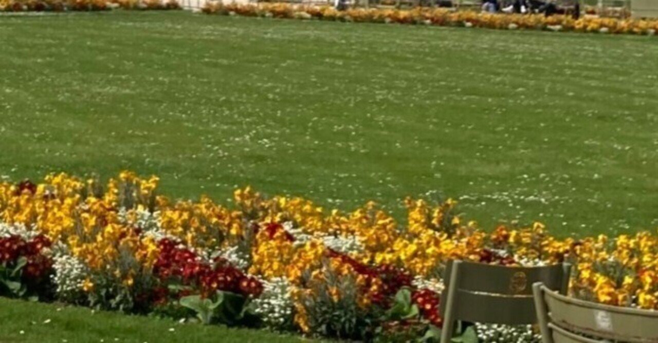 頭の中の独り言と菜の花｜Atsuko