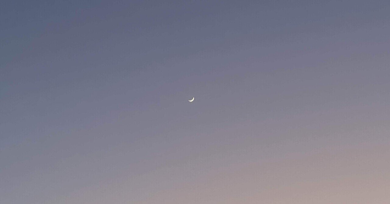 Stumpy little cat｜yue