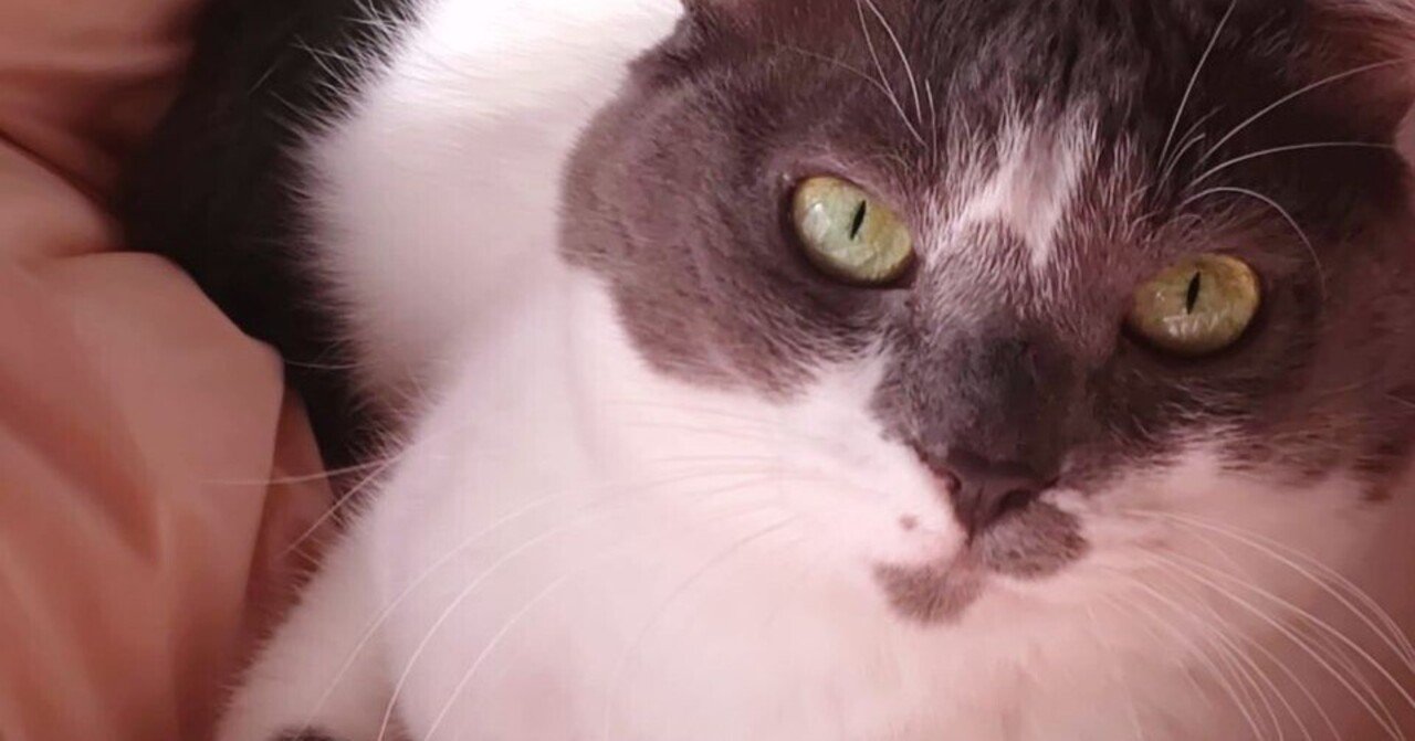 生き甲斐｜mitsu