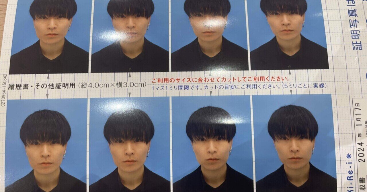 多数決の敗北(ルードヴィヒ2世)｜国武凜 / Rin Kunitake