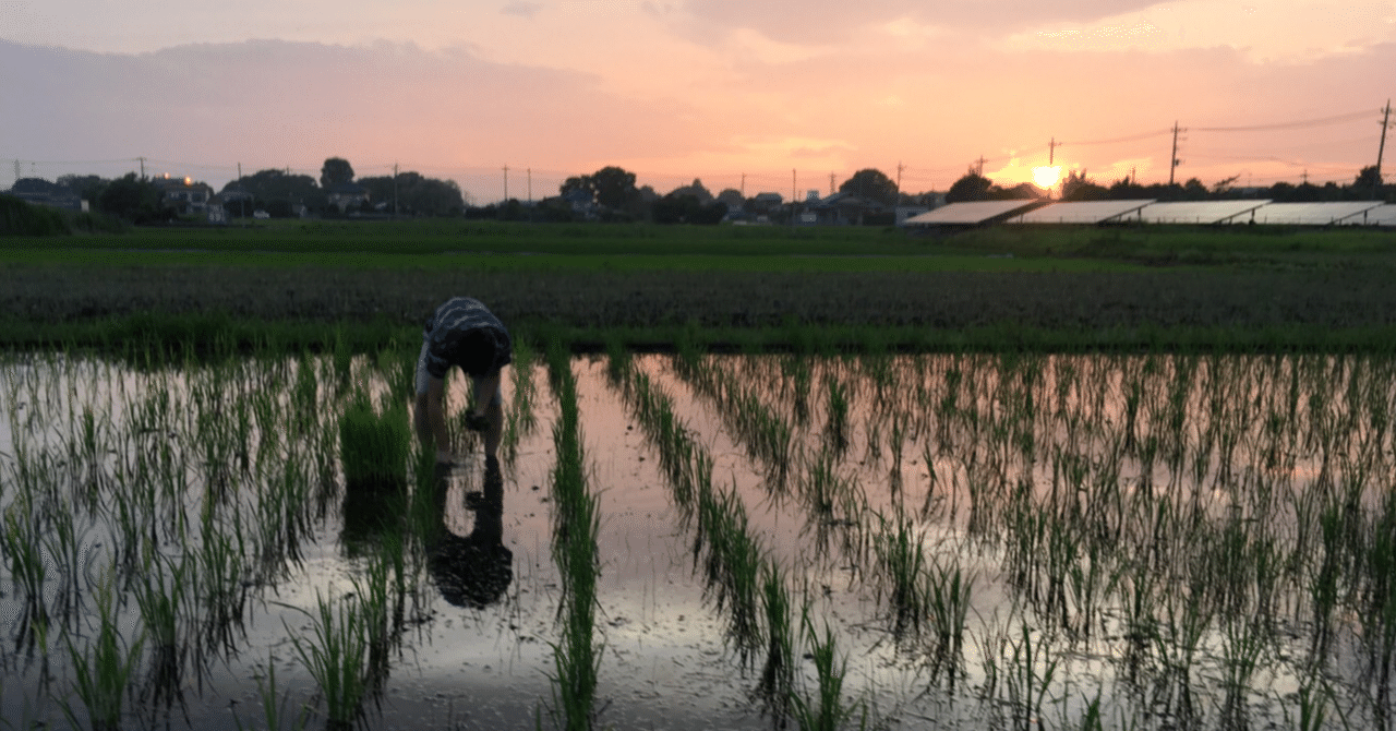 ぐらぐら通信＃0【不安定な世界で揺れ動き続ける】｜Keito MASUDA