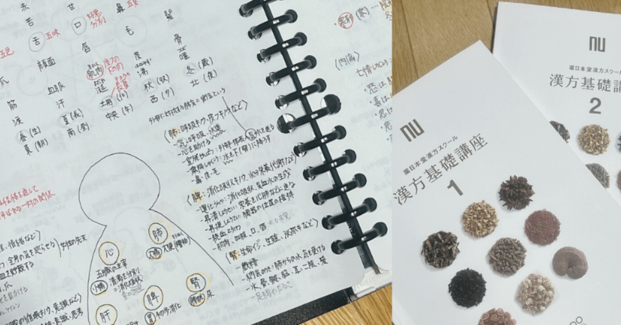 なんで漢方の勉強に興味を持ったんだろう、、、。｜SHOKO (Muu)