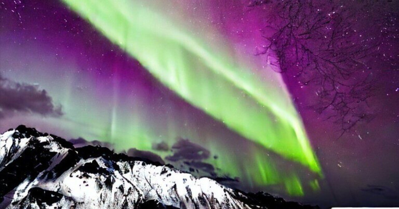 インプット・インスピレーションソースのサイクルに刺激が欲しい．｜shogo