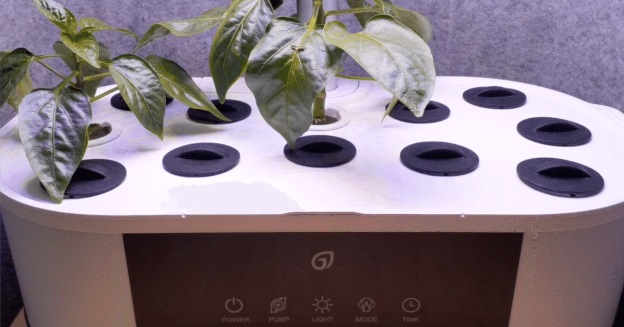 家庭菜園.2 【92日目〜98日目】｜Aqua Farmer