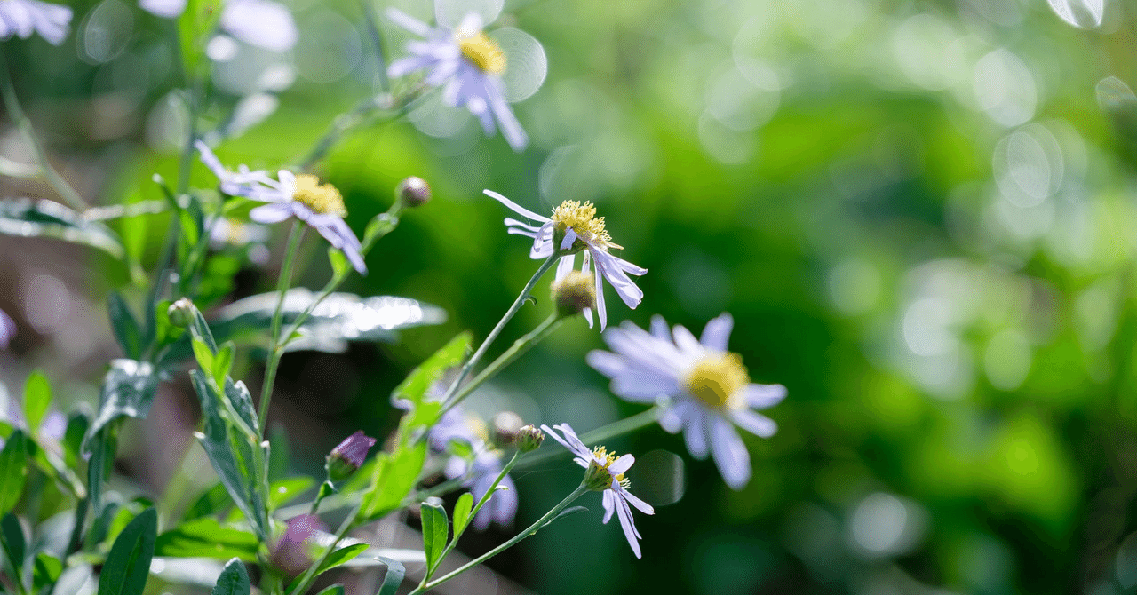 はじめてのCursor ～インストール編～｜blue06_2022