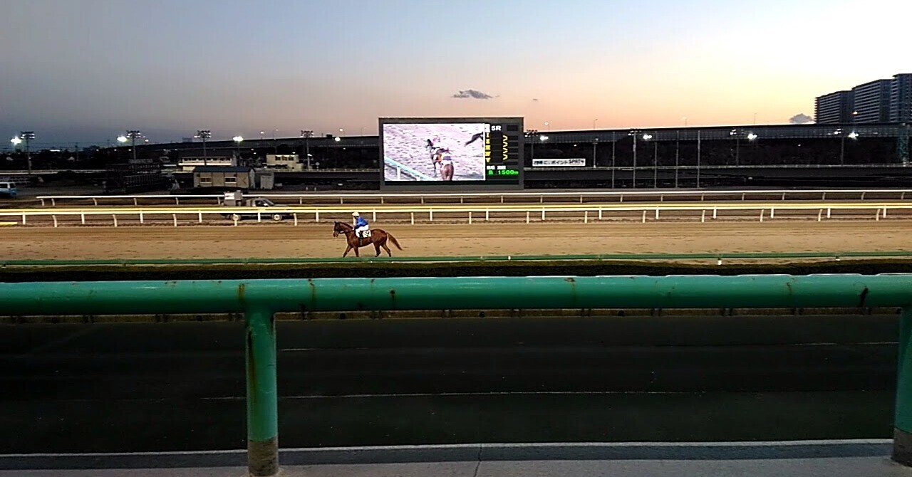 【船橋👊🏇🔥勝負レース👊🔥】119（金）【5r】3歳 選抜馬（発走時刻1645）｜さやだま
