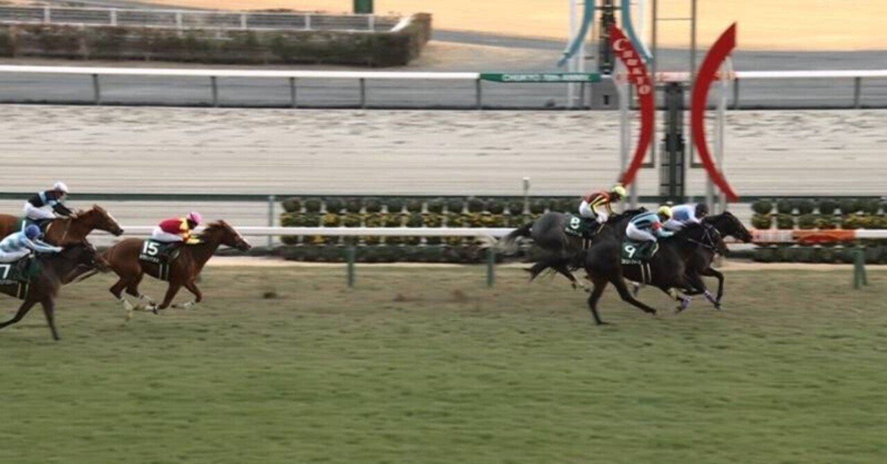 【2024 シルクロードS（G3）】日刊馬番コンピ指数分析予想篇｜Haya