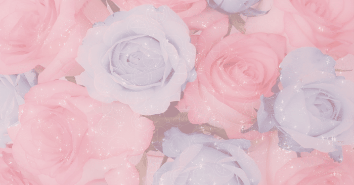 Roria's Moonroom｜note