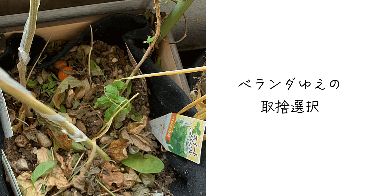 収穫を切り上げないとリサイクルサイクルに間に合わない。そして意図しないサイクルミス。｜Ms'HIRO