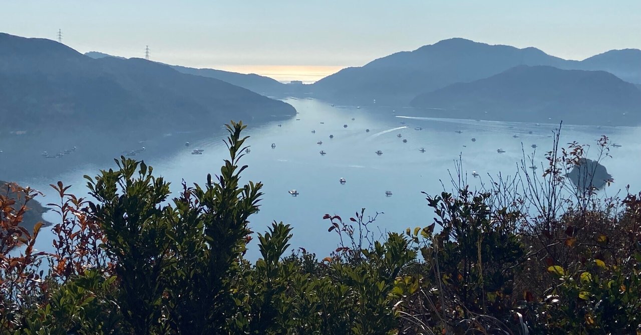 相棒とお別れ?｜Mieko Hori 堀 美恵子/料理家