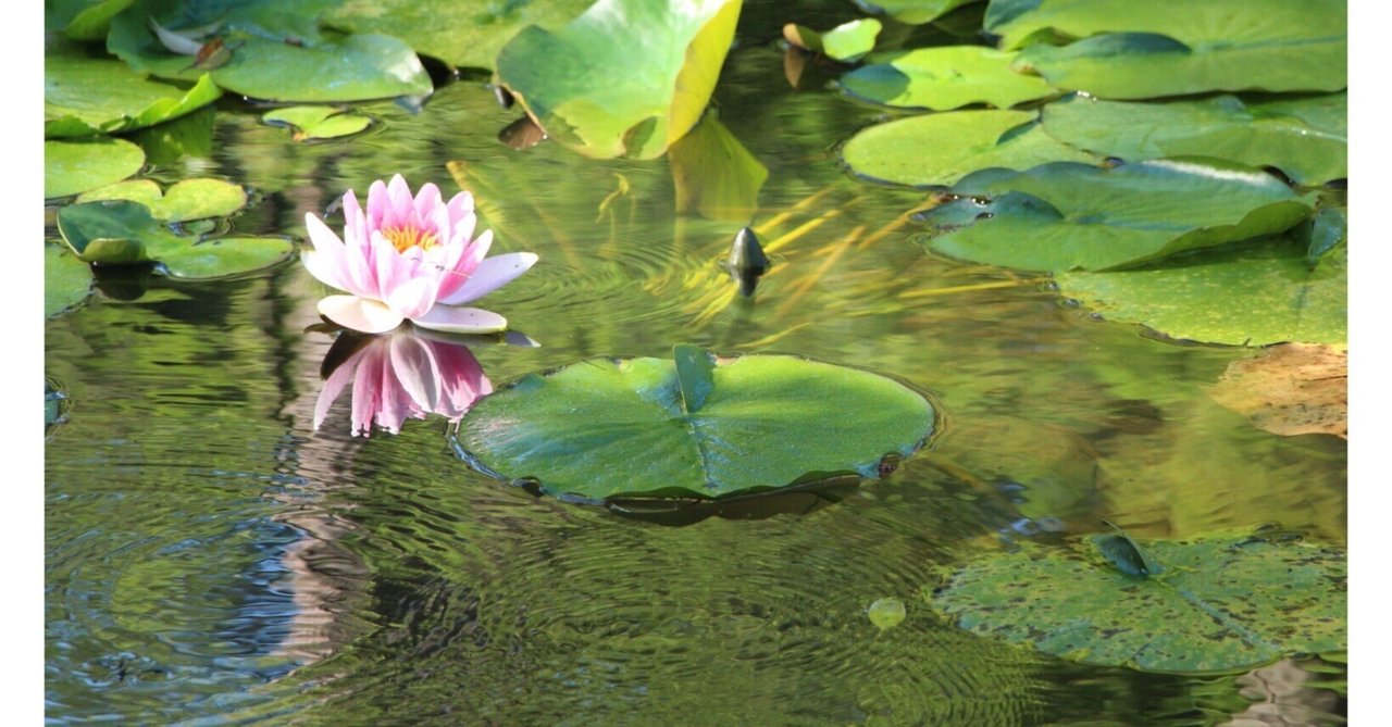 私の価値は私の中に｜moepi