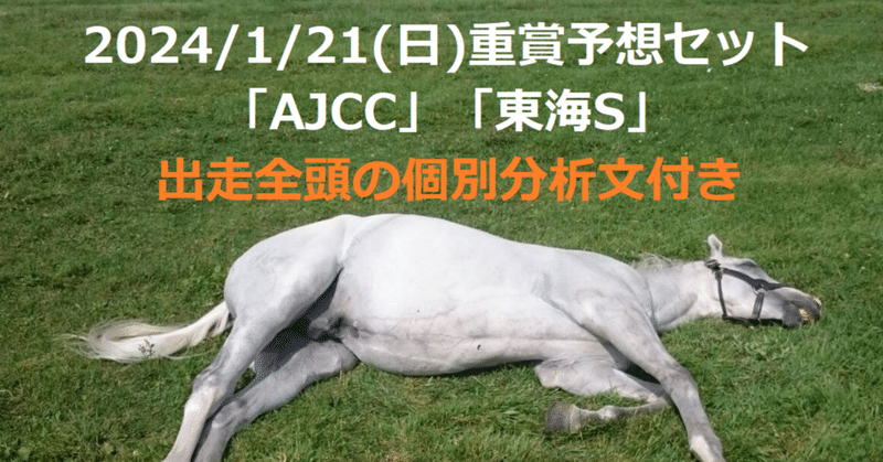 2024/1/14(日)重賞予想セット「AJCC＆東海S」｜砂の王者