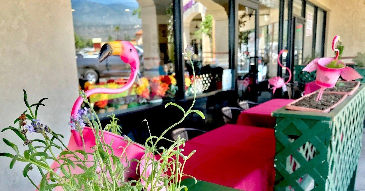 Day 102｜Kanta Kurata