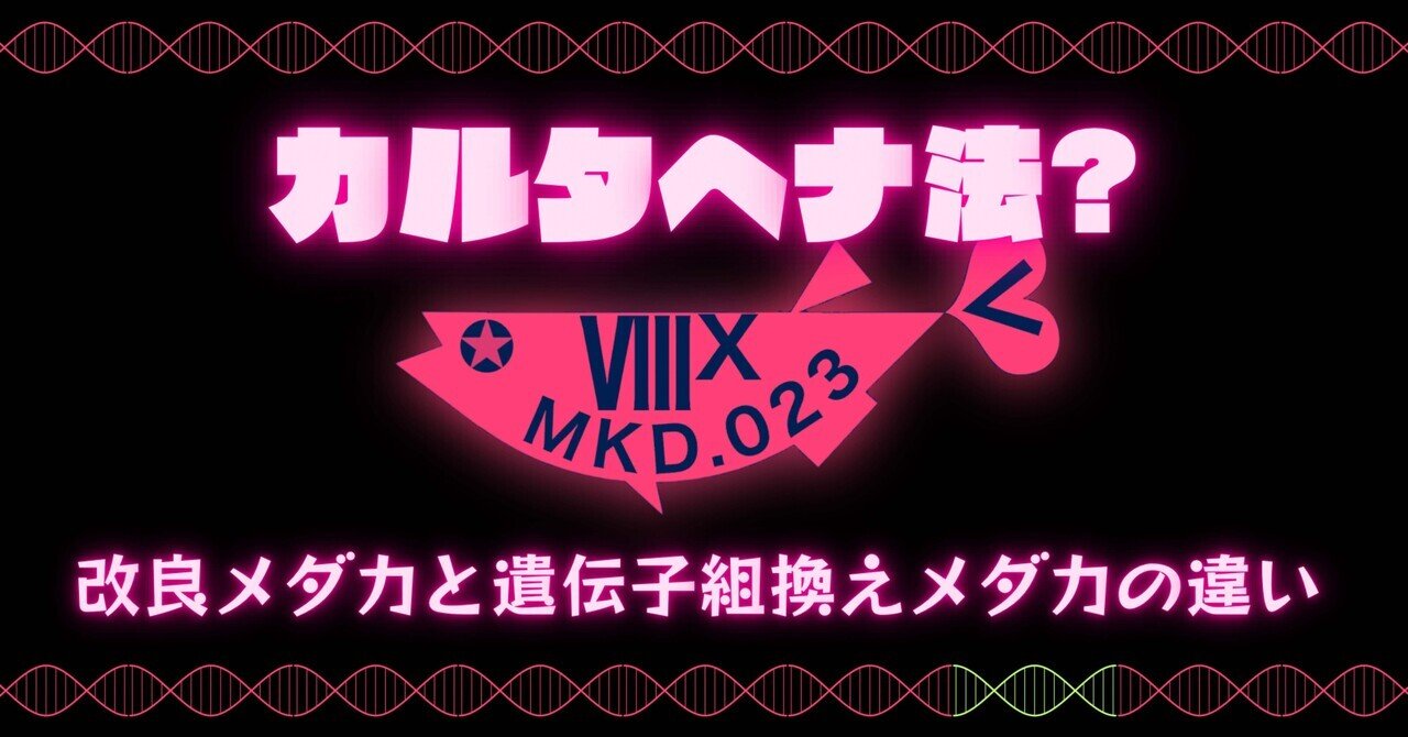 改良メダカと遺伝子組換えメダカ｜MKD.023
