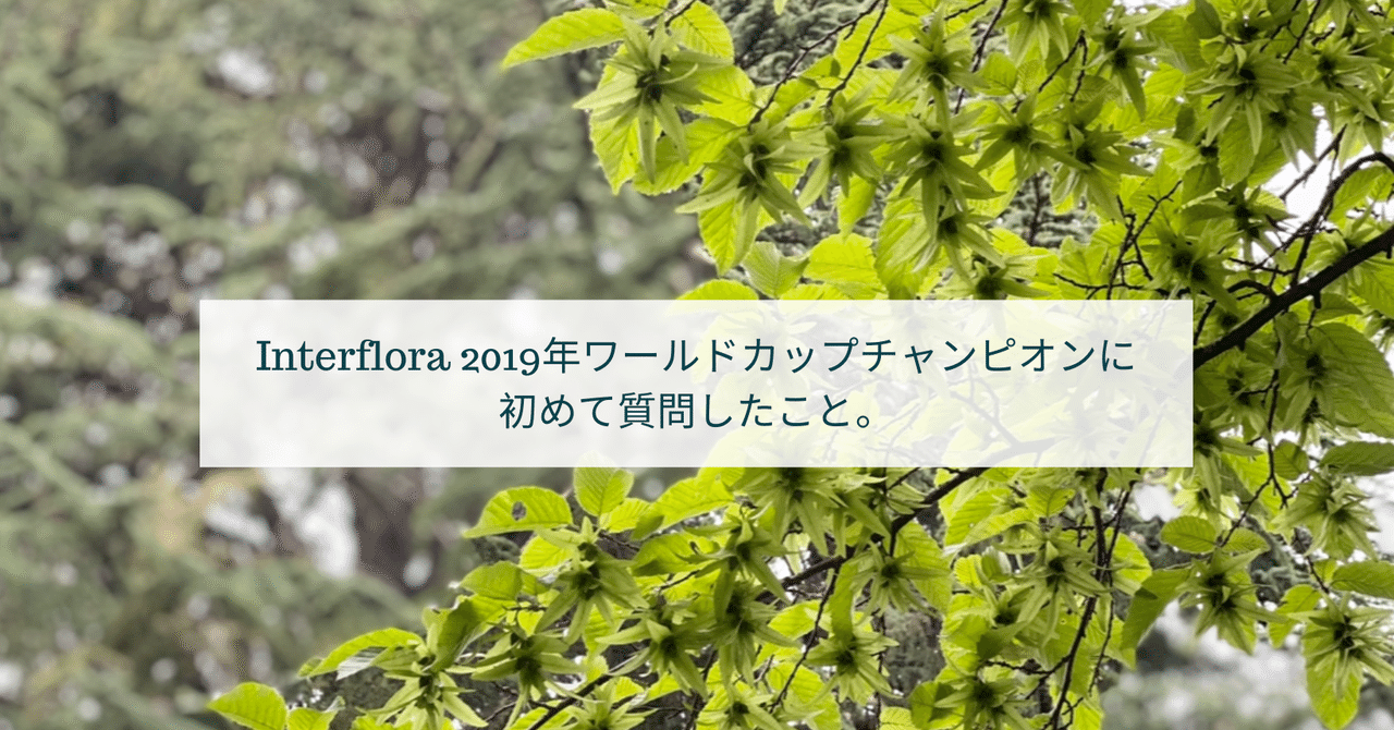 Interflora 2019年ワールドカップチャンピオンに初めて質問したこと。｜Yukina Sakabe |ブリスベンフローリスト