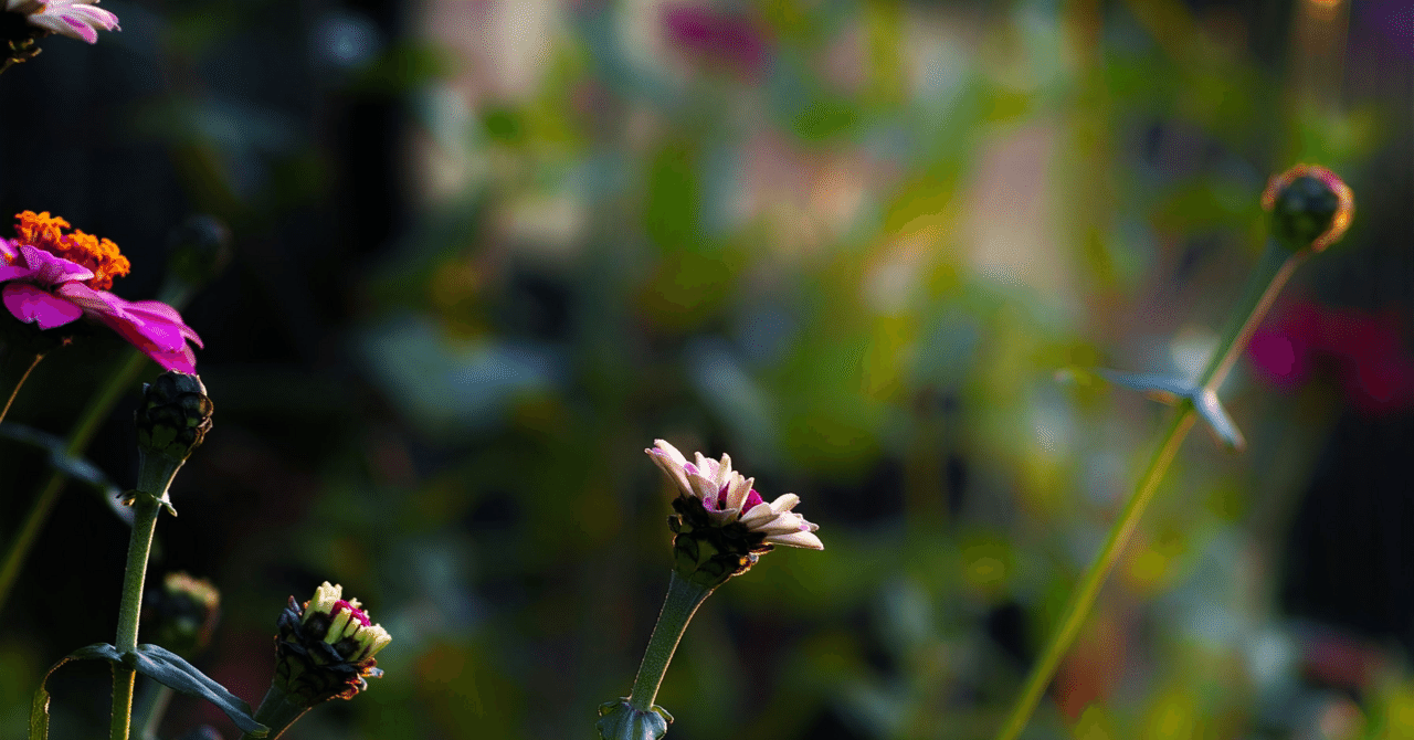 AIイラスト stable diffusion モデル覚え書き｜shinmr