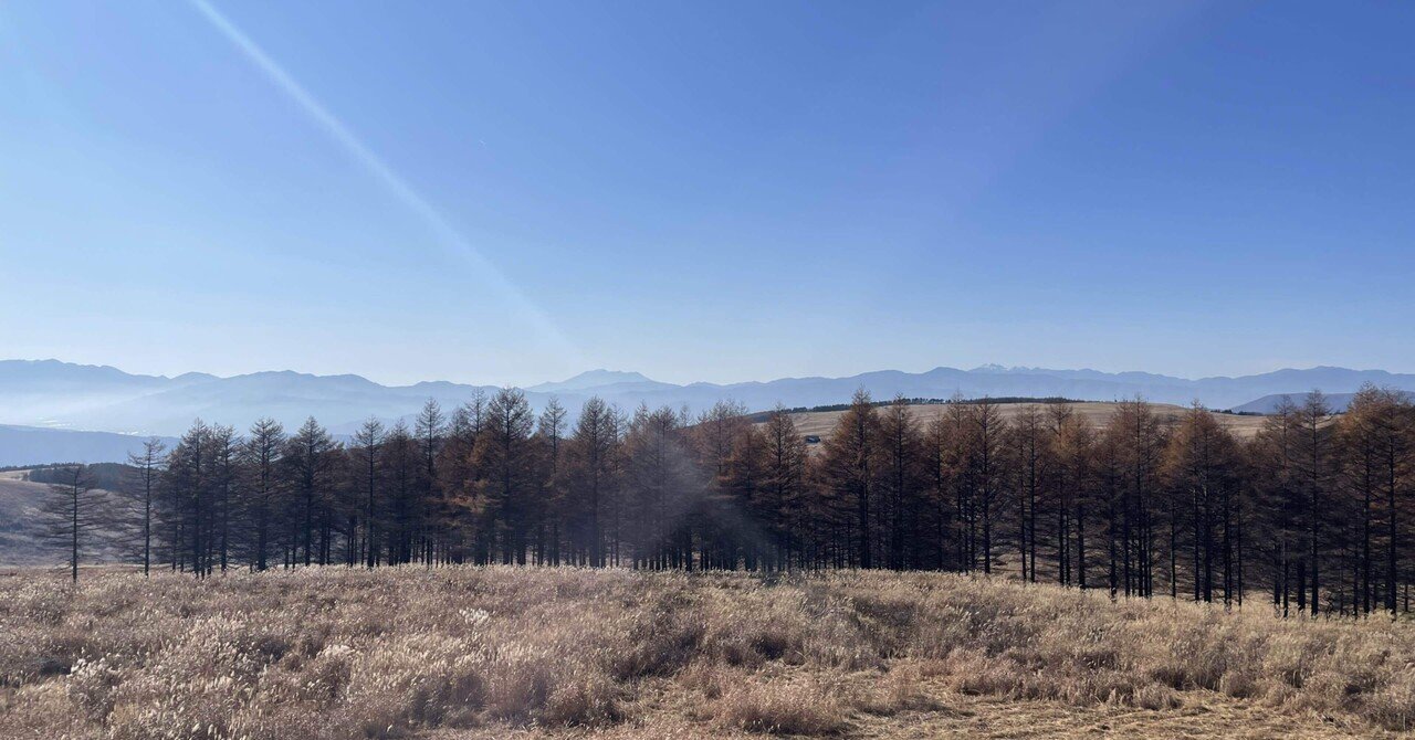 2024 AJCC結果報告｜ツネ