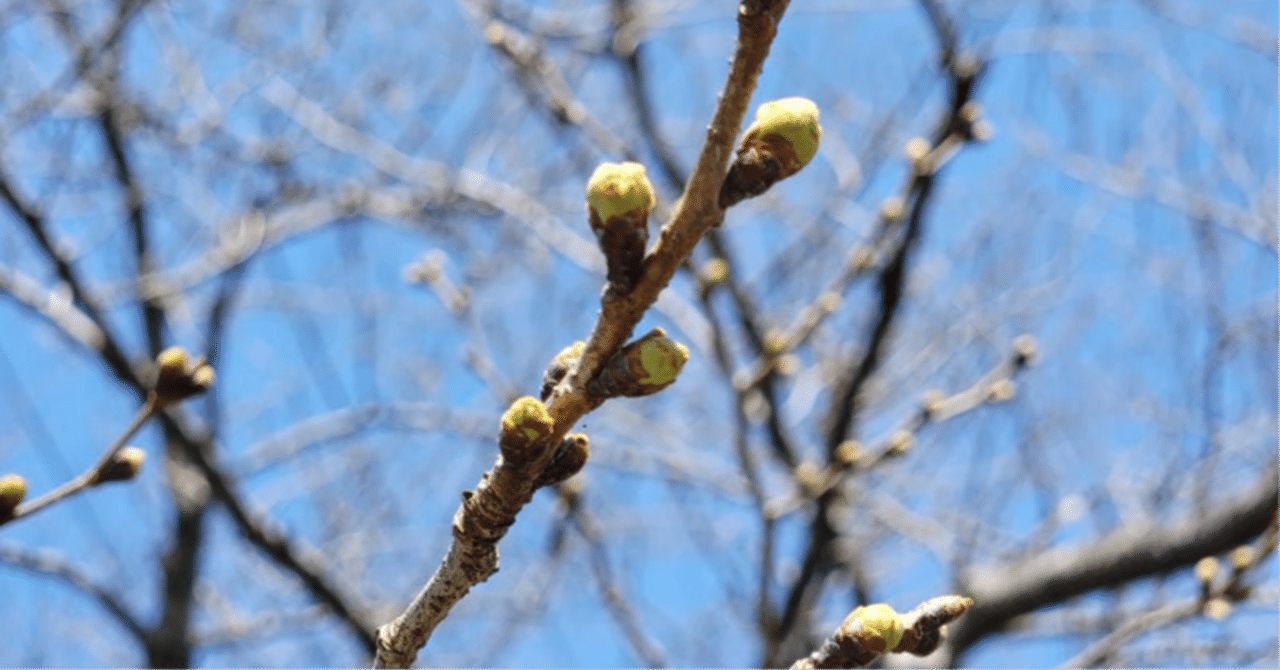 早春訃（そうしゅんふ）｜件