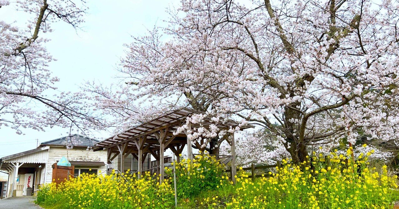 春になったら｜jucon110