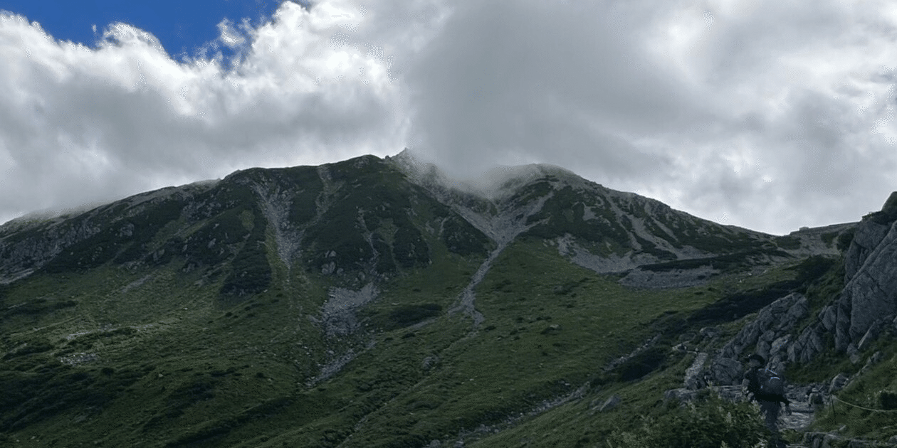 gifted_tern110｜note