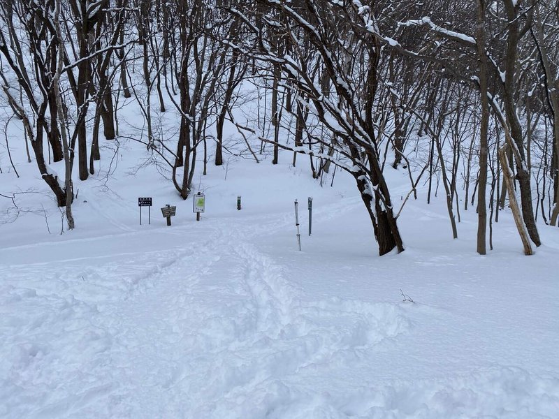 山行記録：三角山→大倉山（R6.1.21）｜kakbock（登山社労士）