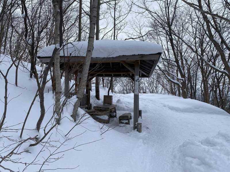 山行記録：三角山→大倉山（R6.1.21）｜kakbock（登山社労士）