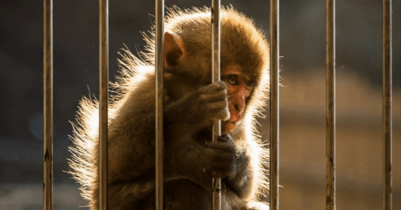 ⭐️【挫折】とか【劣等感】とか 進（仮名、次男）の場合（加筆1/27AM）｜ちゃりれれ【時々ジャイアン】