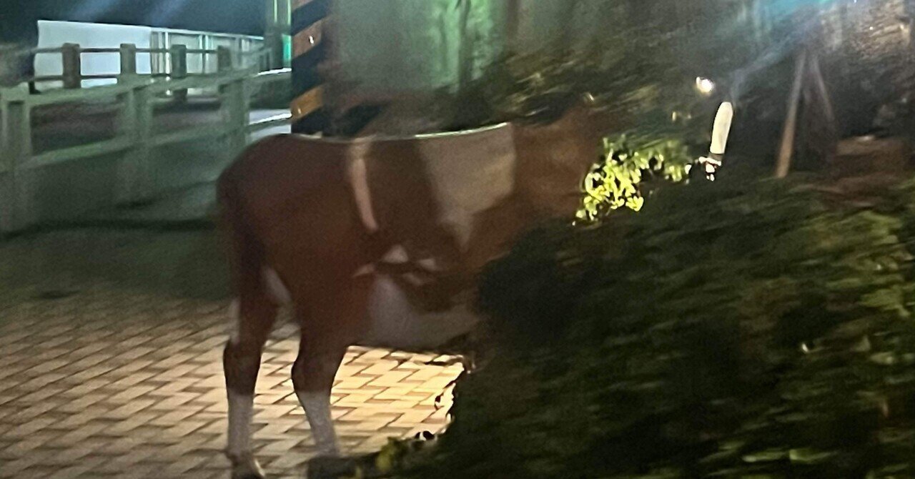 またお久しぶりに....｜coco_mane