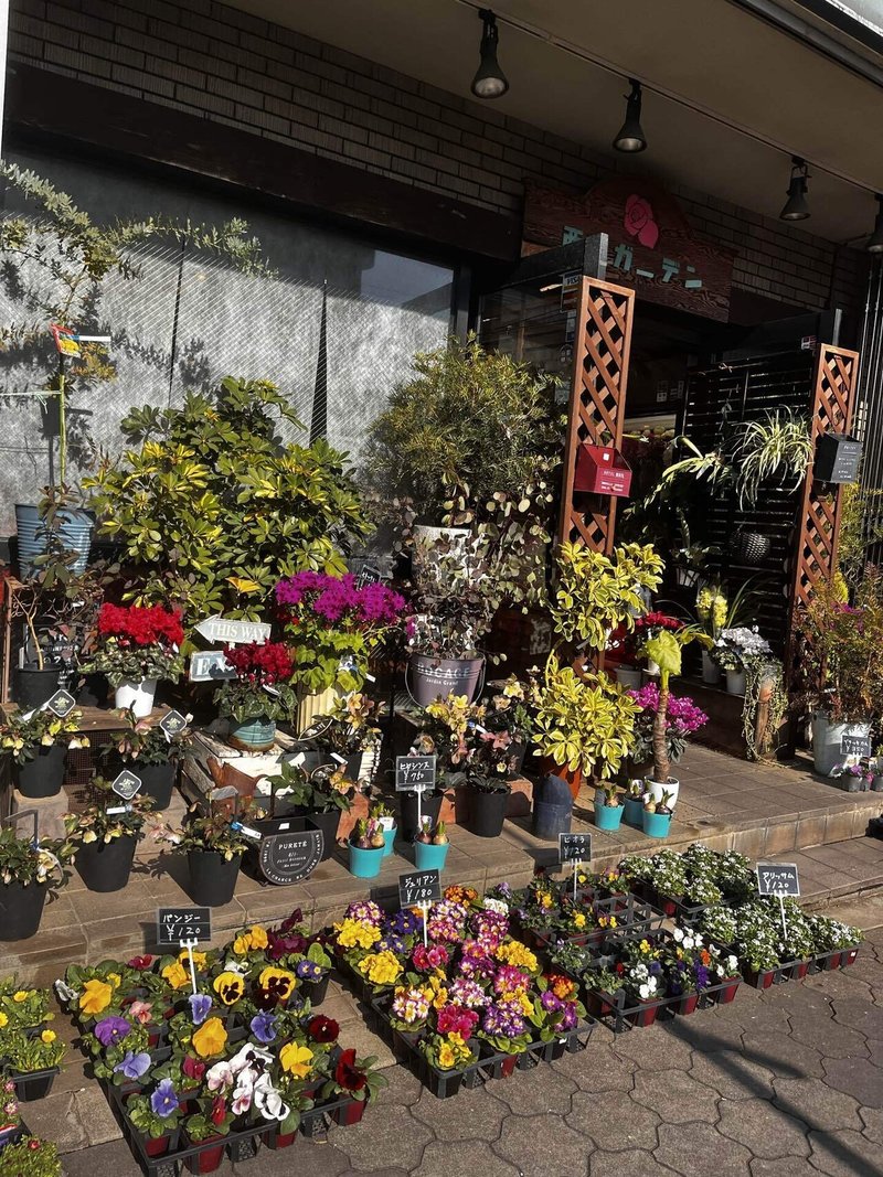 近所｜prankish/Tomo