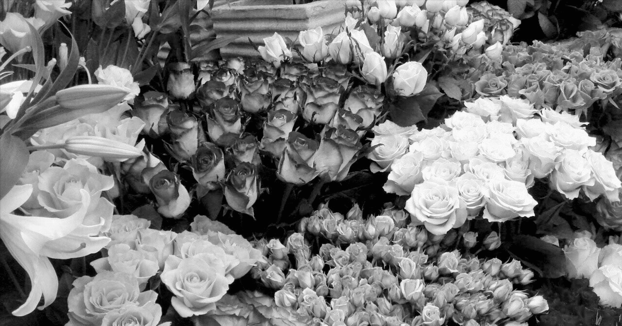 アイツが来た｜sevenzen