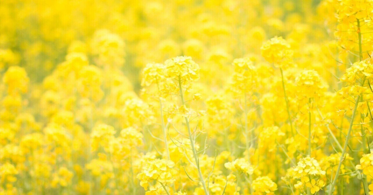 1,2,3もエンジェルナンバー👼🎶｜Yuka