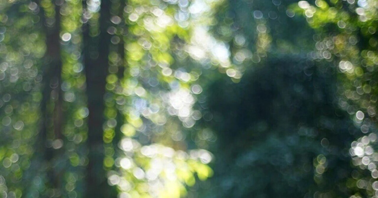 冬木の芽｜古川節子（Furukawa Setsuko)