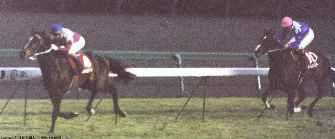 第40回AJCC(アメリカジョッキークラブカップ)：蔵出し写真 1999年④スペシャルウィーク｜馬画人 (まがじん)