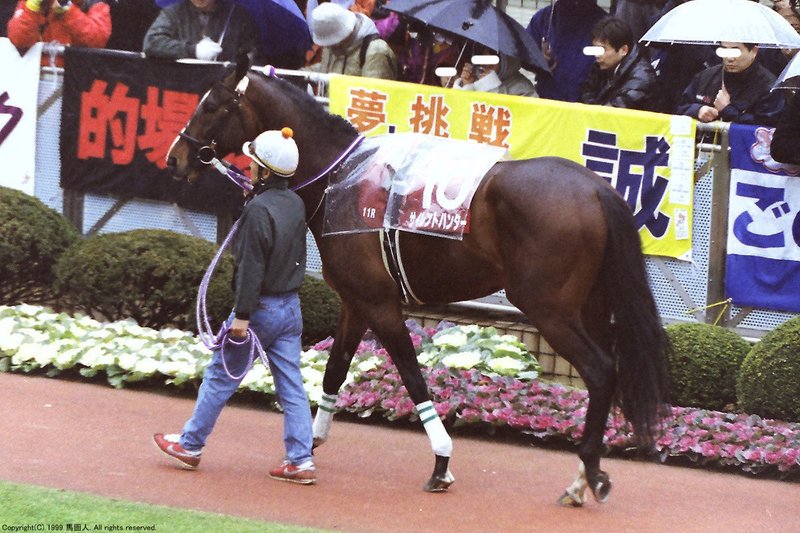 第40回AJCC(アメリカジョッキークラブカップ)：蔵出し写真 1999年④スペシャルウィーク｜馬画人 (まがじん)