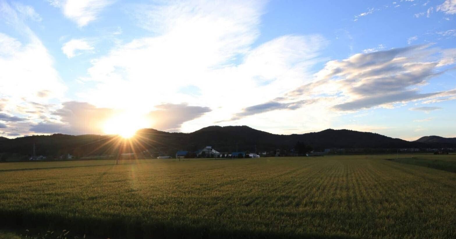 yuto nakamura | 中村 勇斗｜note