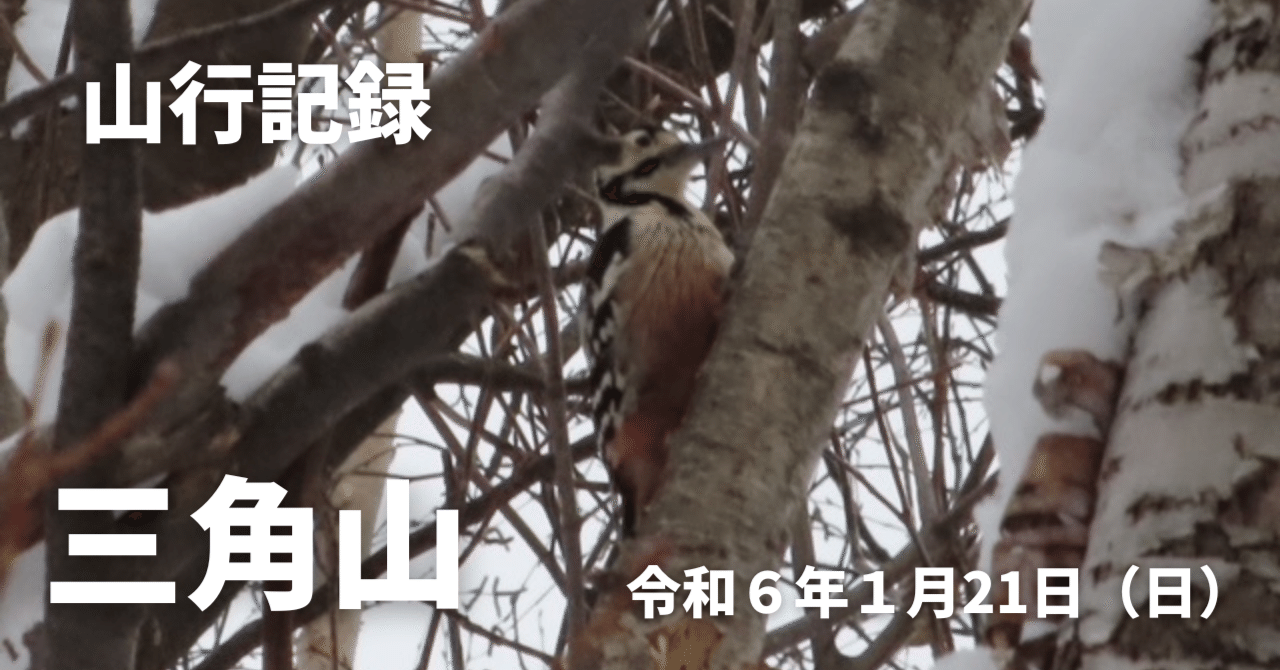 山行記録：三角山→大倉山（R6.1.21）｜kakbock（登山社労士）