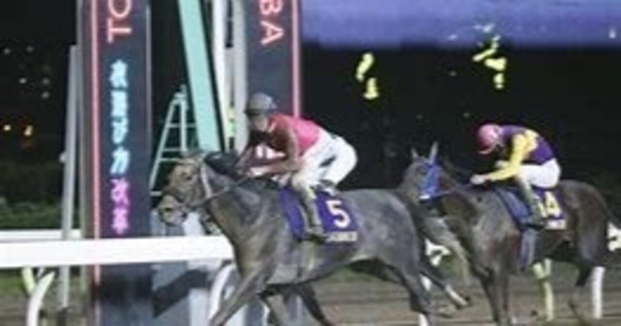 【大井👊勝負🏇🔥勝負レース👊🔥】124(水)【9r】c2八九十 (発走時刻1520)|さやだま