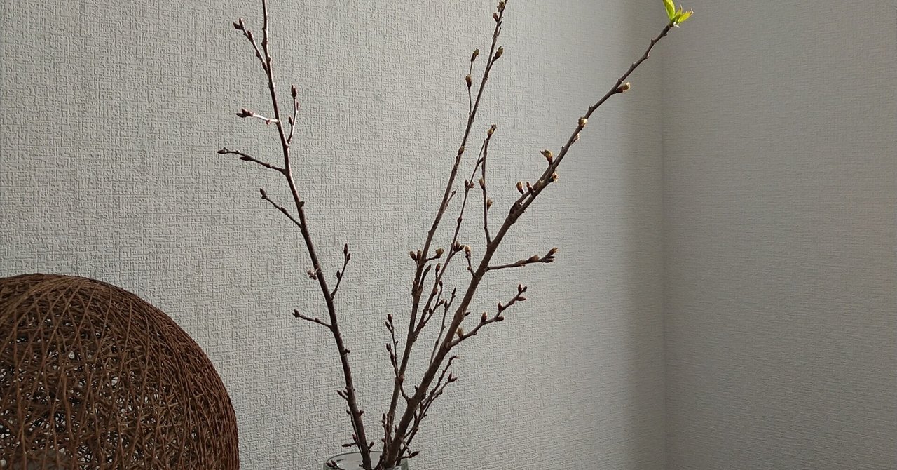 全然咲きません(・д・)ﾁｯ｜arinco_house202