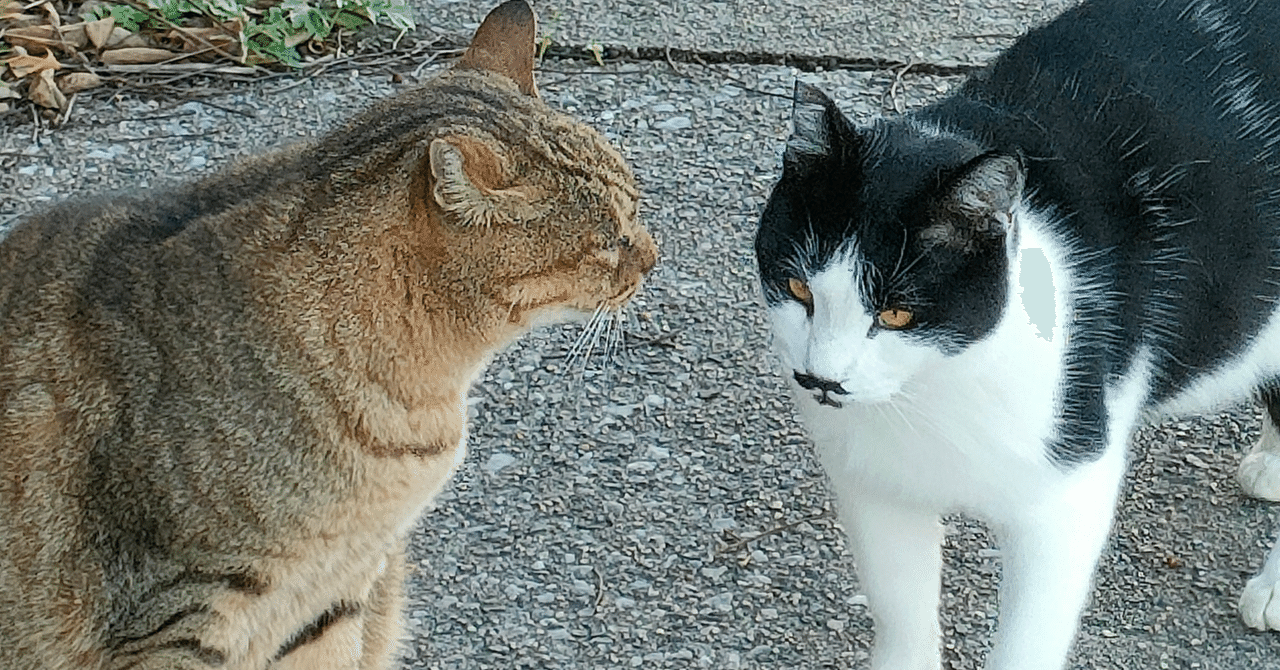 【簡単AI論文】Bootstrapping LLM-based Task-Oriented Dialogue Agents via Self-Talk (Amazon)｜STEAM/acc