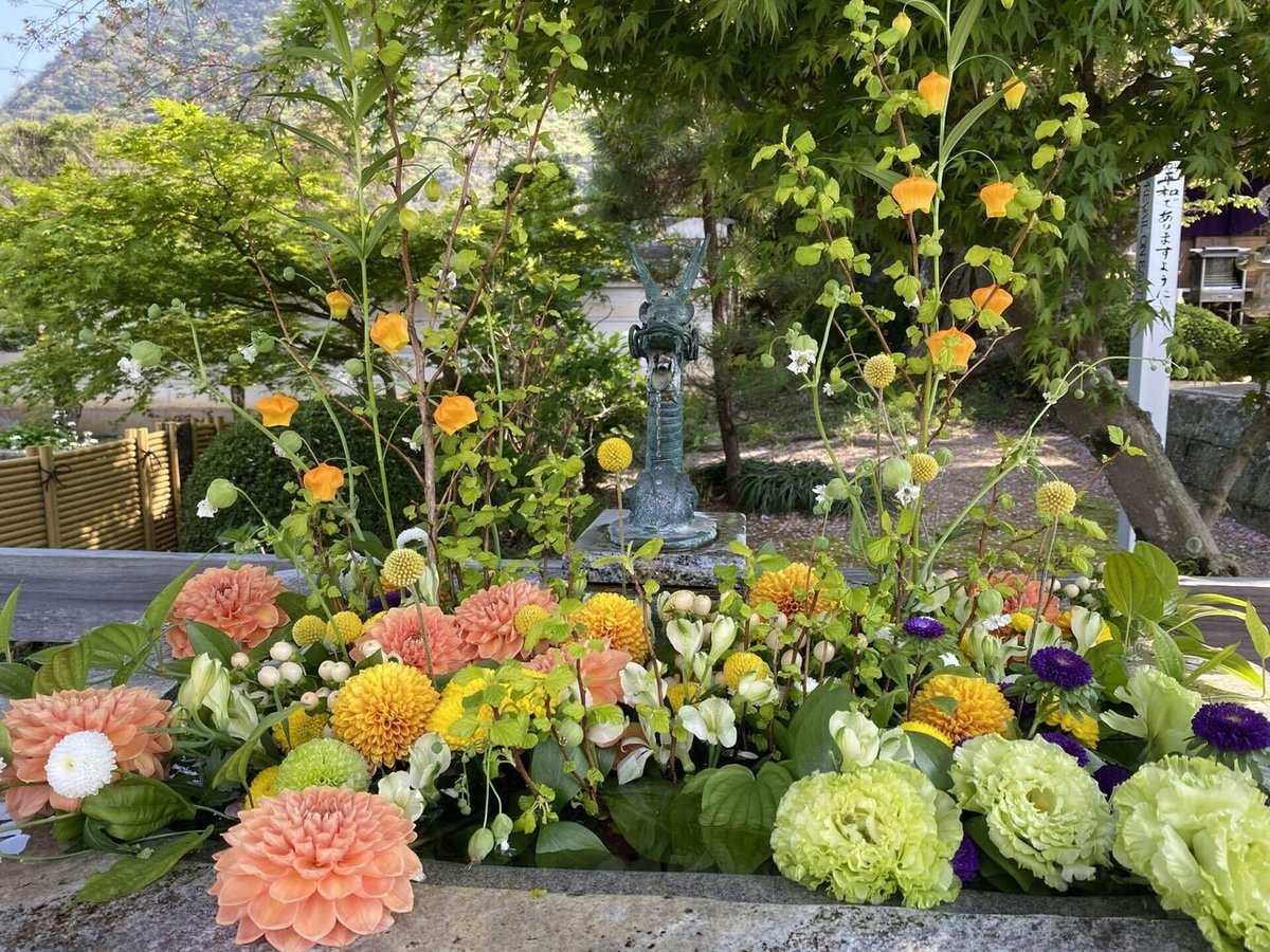 スーパーカブとお遍路｜Rinco