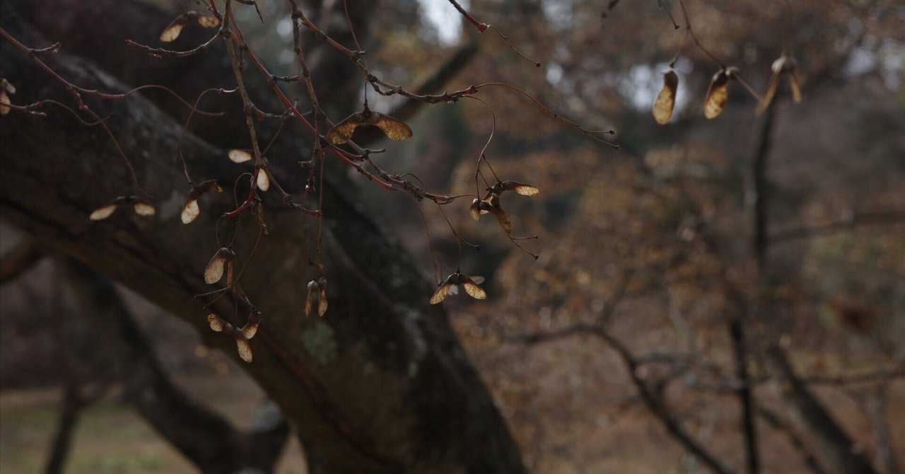 qt.（2）｜めえこ