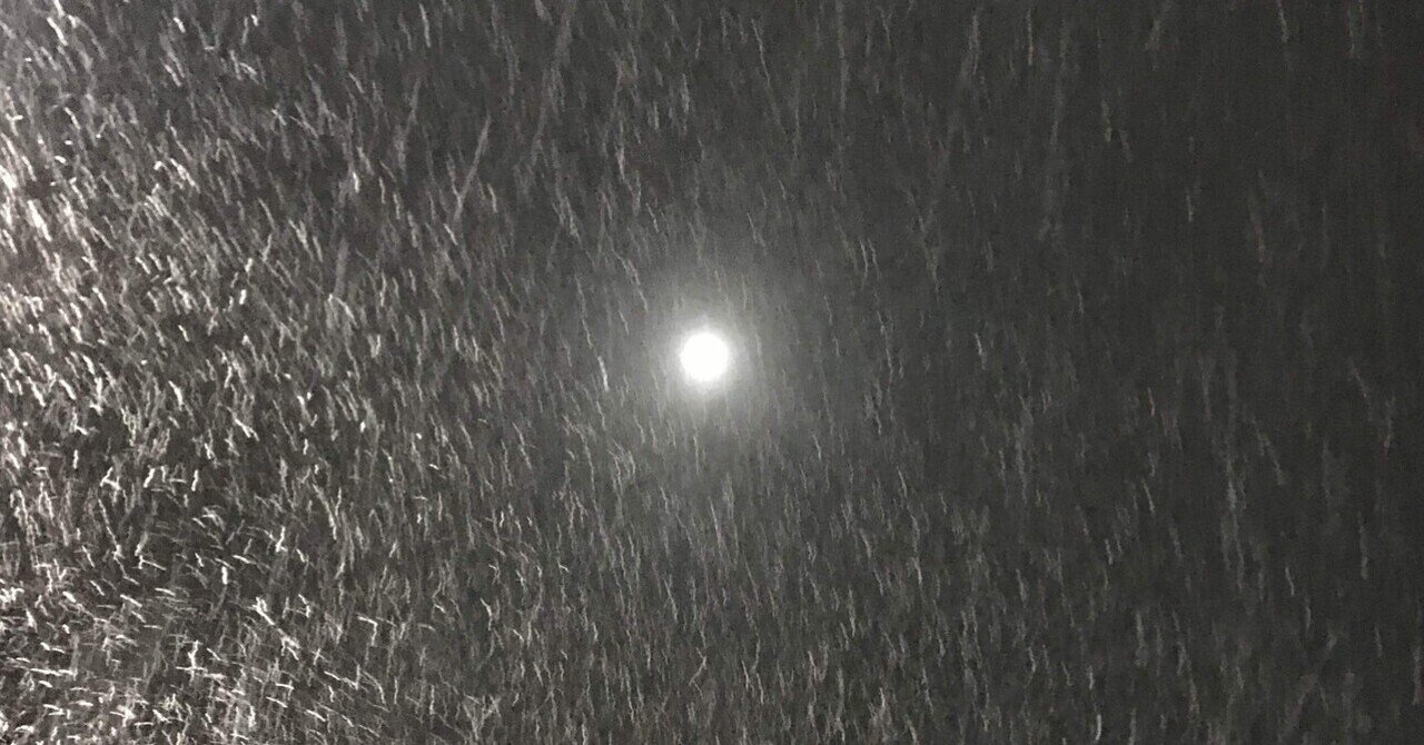 ぐらぐら通信＃3【在野の芸術についての覚書】｜Keito MASUDA