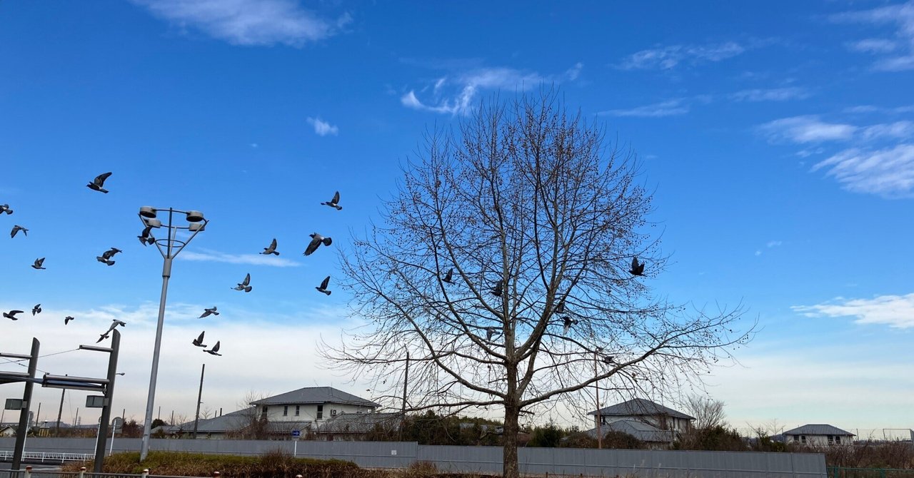 ふと・・・思う｜poporin