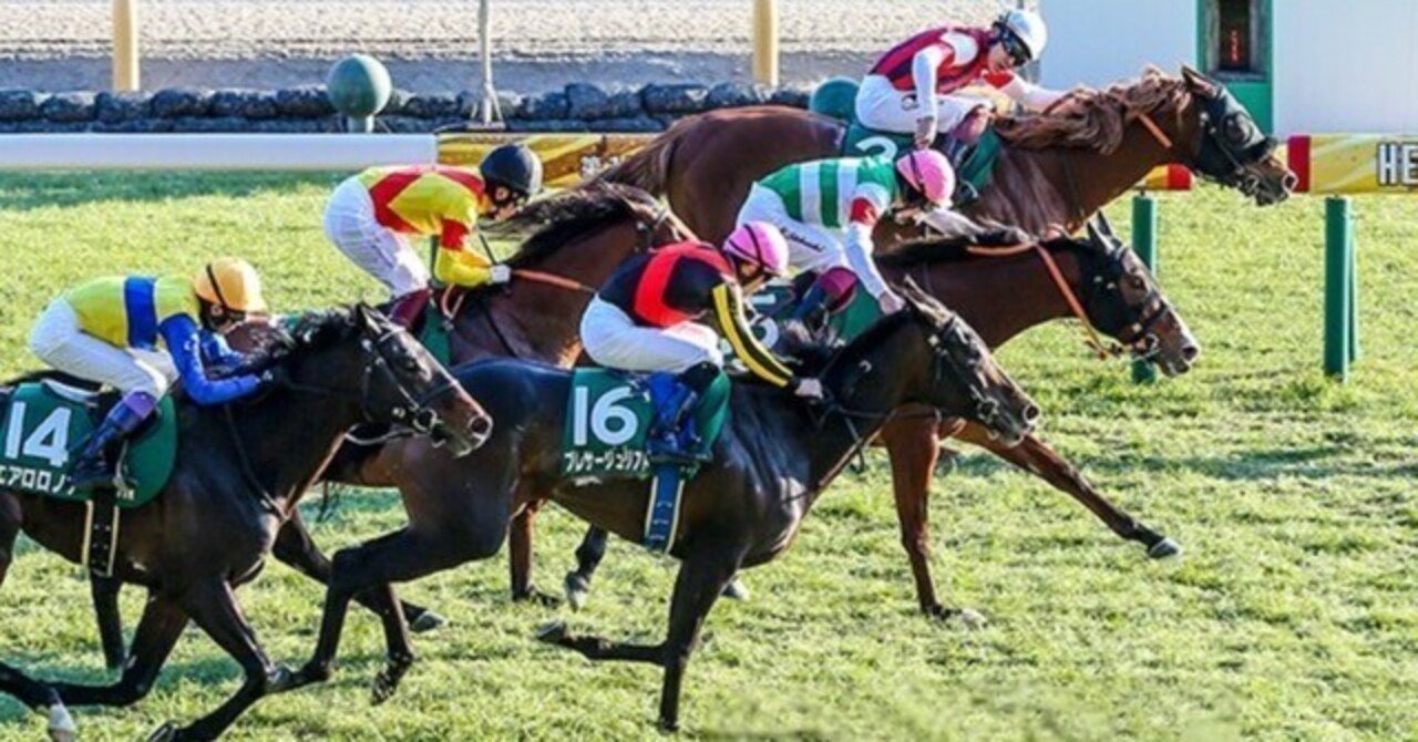 【2024 東京新聞杯（g3）】日刊馬番コンピ指数分析予想篇｜haya