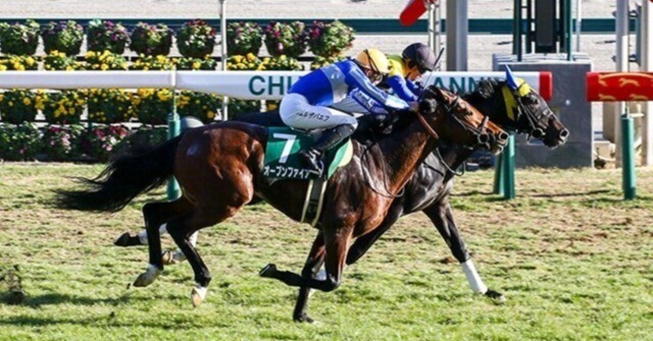 【2024 きさらぎ賞（G3）】日刊馬番コンピ指数分析予想篇｜Haya