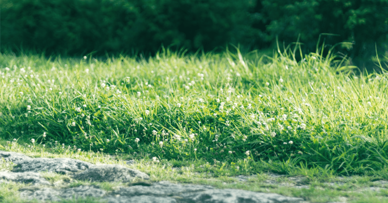 【連載小説】小五郎は逃げない 第13話 ｜鈴々堂/rinrin_dou@ゆりぱせり🎈