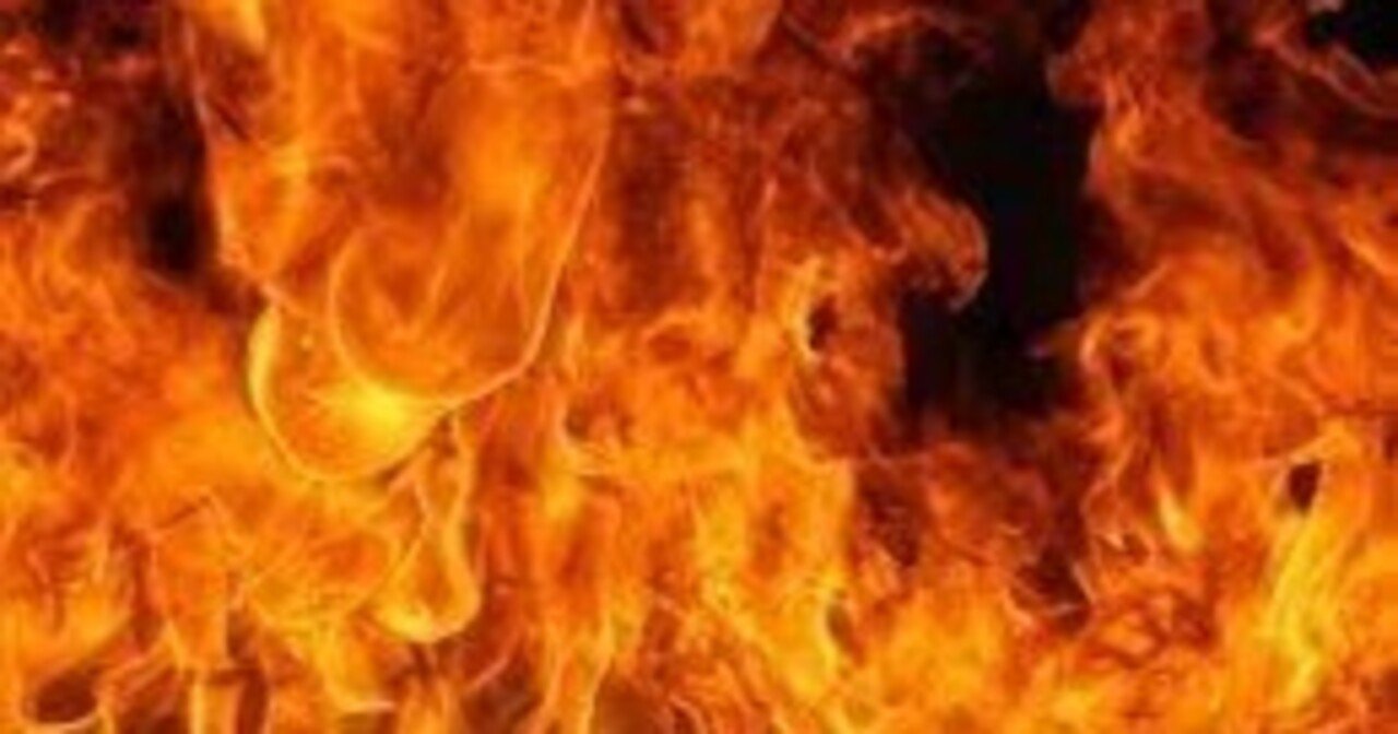 1/26(金)姫路6R 13:15発走 爆裂戦🔥｜単複の天ちゃん