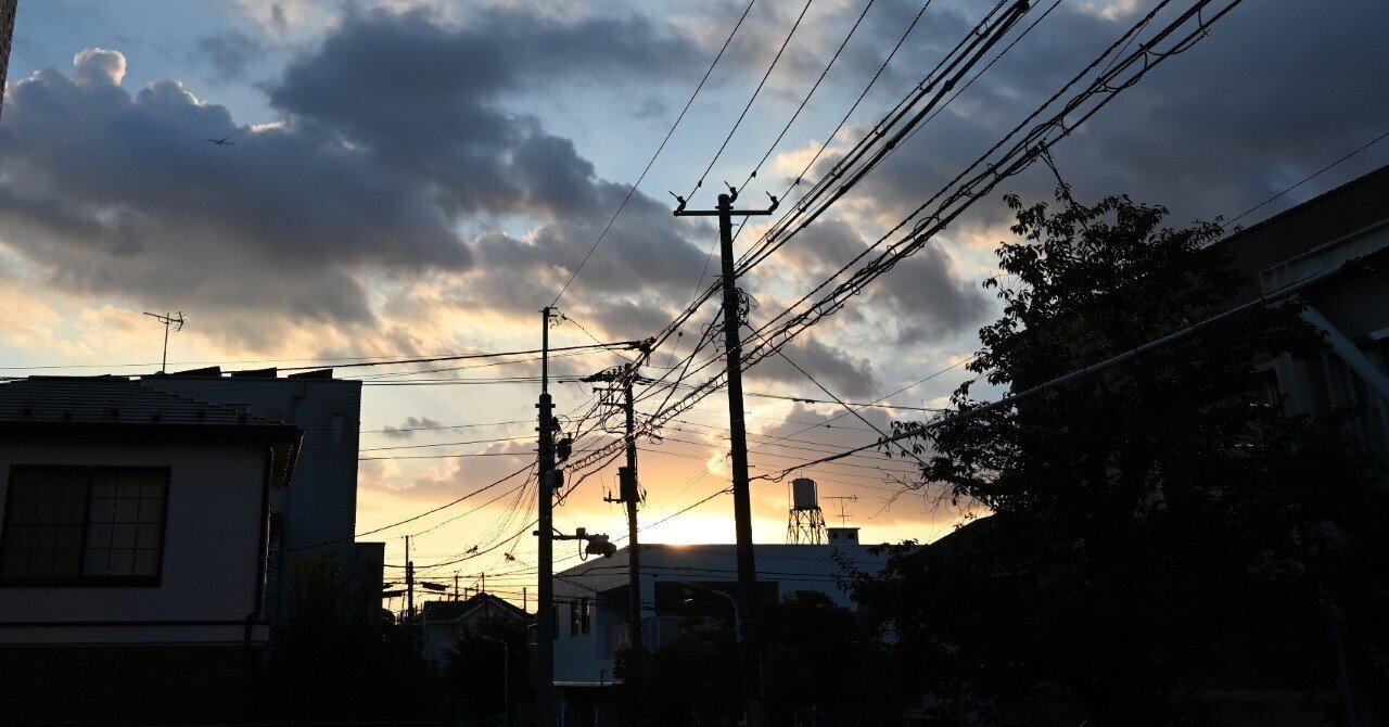 【恒例】2023年「#ぷらりとしまU30s」のInstagram投稿を振り返ろう！｜#ぷらりとしまU30s